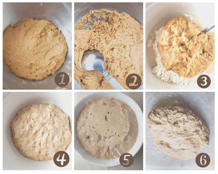 No-knead wild yeast bread | It's a Fruit yeast water bread - The Flavor ...