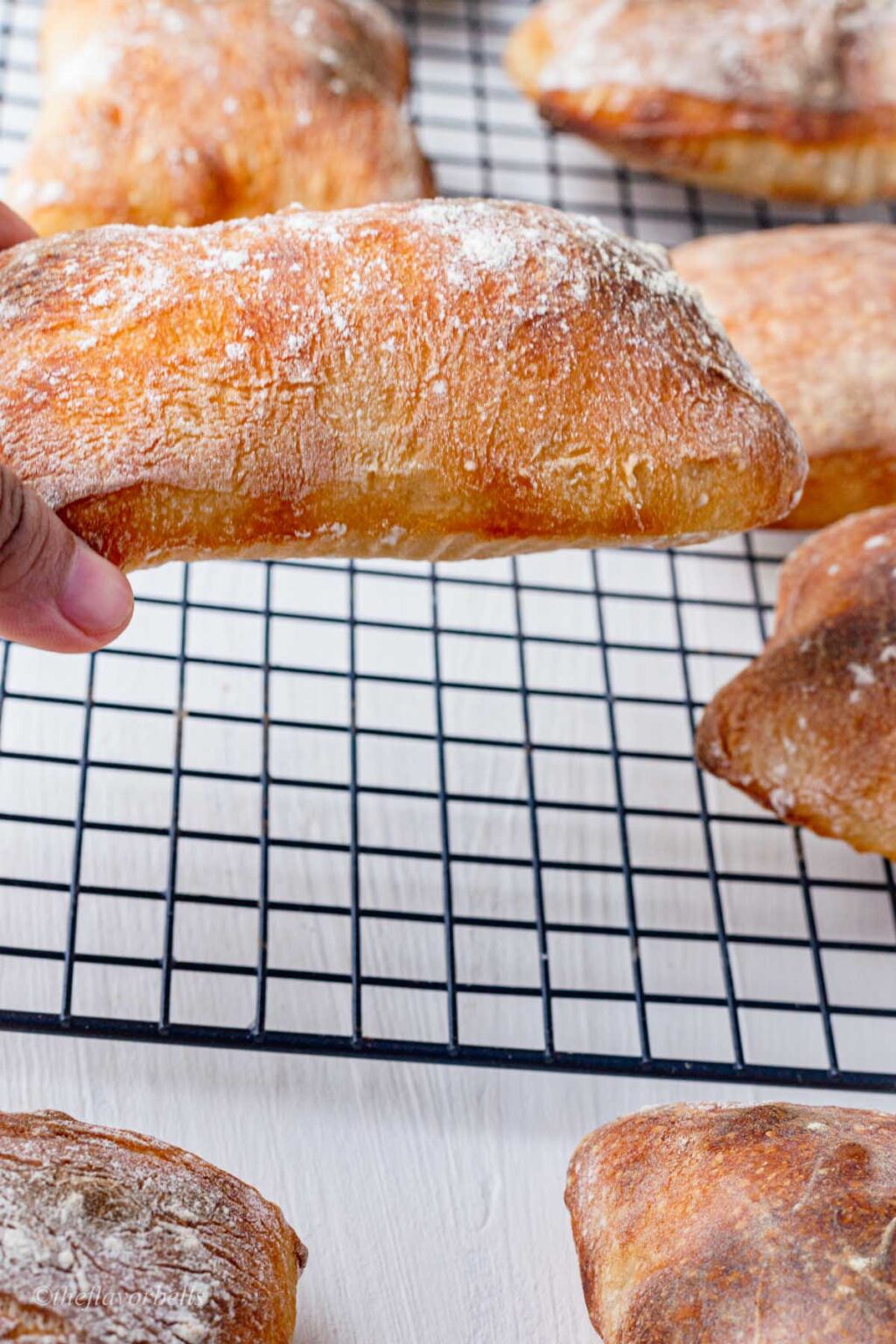 Sourdough Ciabatta Recipe ( Ciabatta rolls) - The Flavor Bells